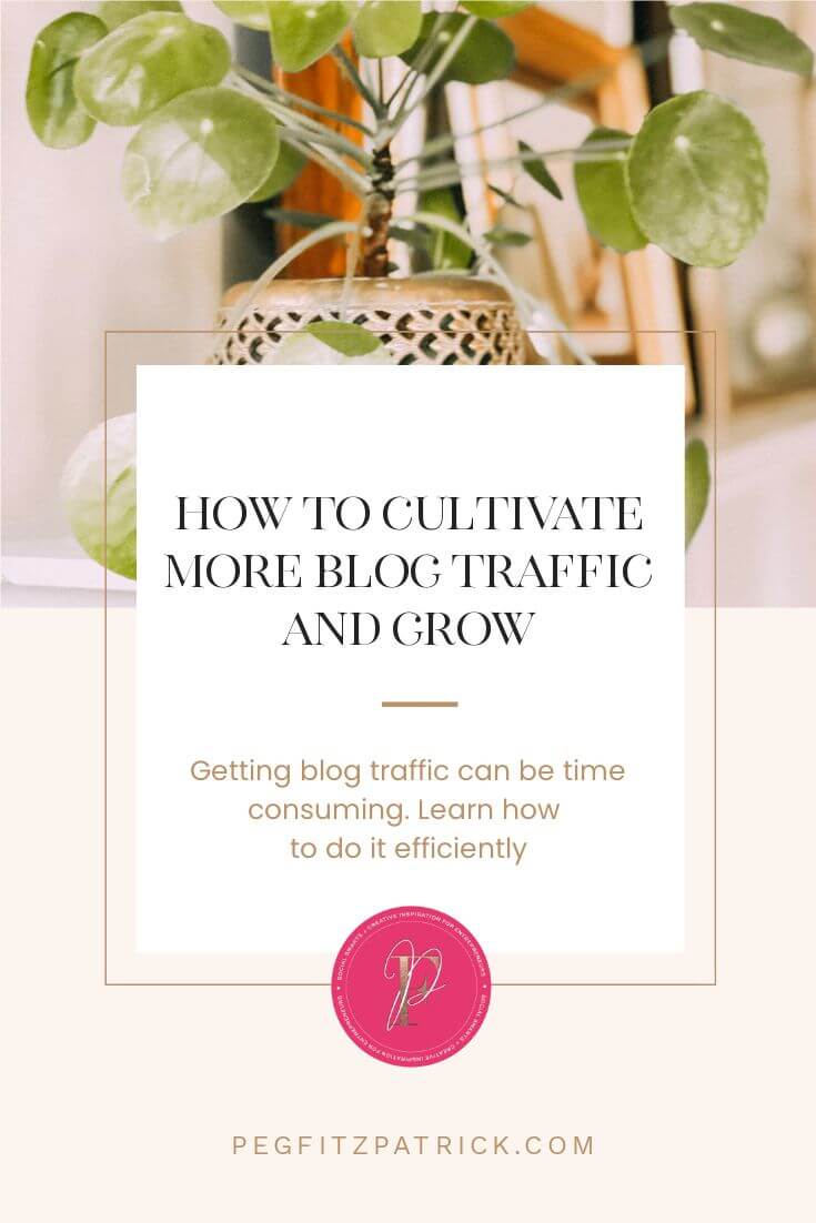 How to Cultivate More Blog Traffic and Grow - https://pegfitzpatrick.com